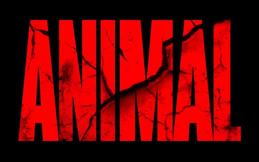 Animal Pak – Ripped.com